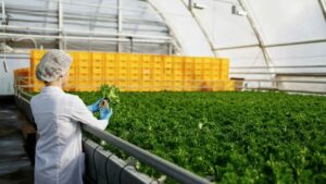 CPPOB Adalah: Cara Produksi Pangan Olahan yang Baik