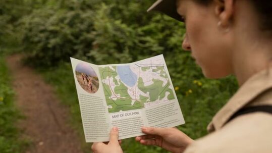 Mengenal Apa Itu Hutan Produksi dan Apa Ciri-cirinya