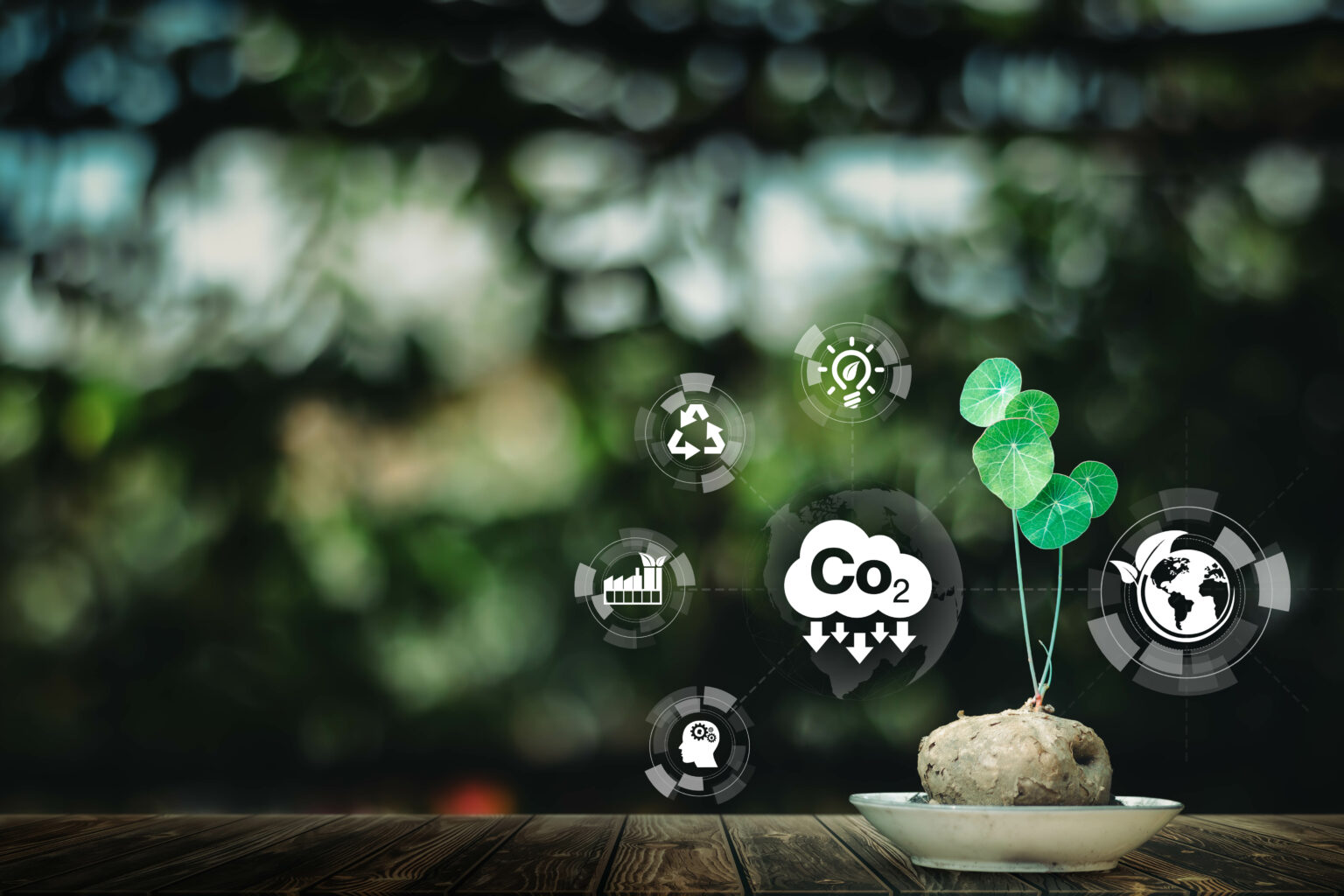 Mengenal Paris Agreement dan Implementasinya di Indonesia